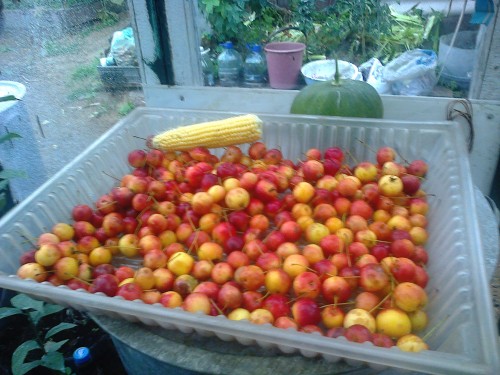 Create meme "rennet, fruit, apricot" - Pictures - Meme-arsenal.com