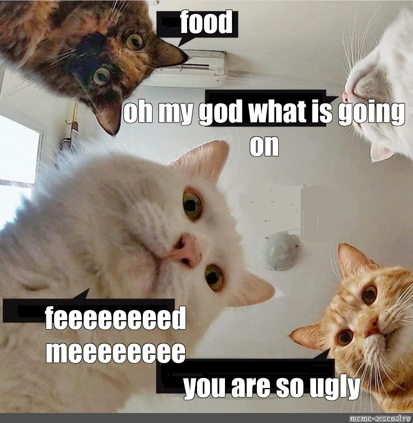 Meme: "food oh my god what is going on feeeeeeeed meeeeeeee you are so ...