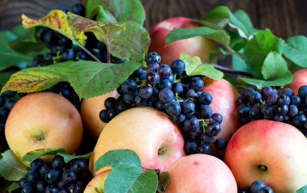 Create meme "fruit apricot, fruits berries" - Pictures - Meme-arsenal.com