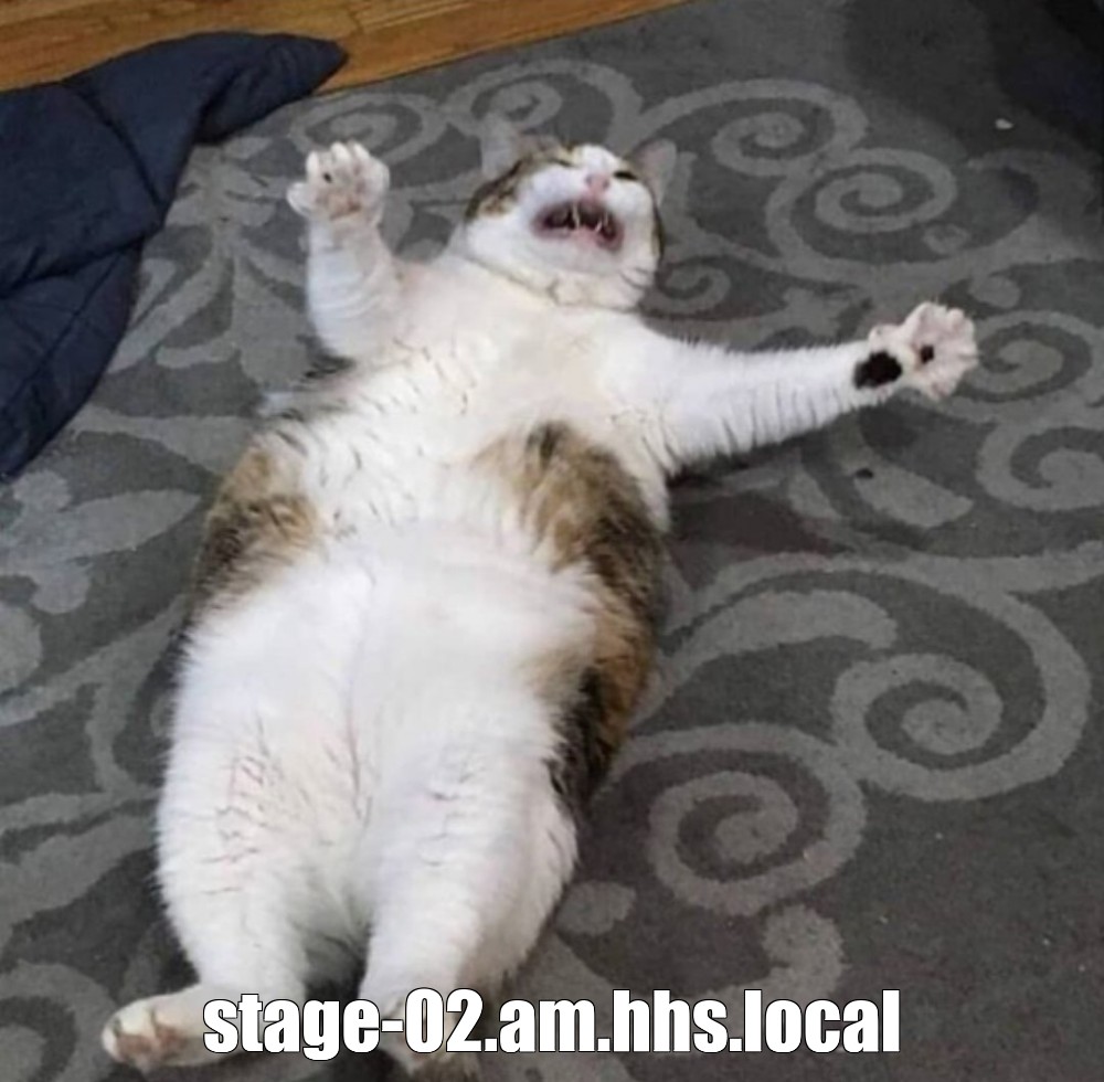 Meme: "stage-02.am.hhs.local" - All Templates - Meme-arsenal.com