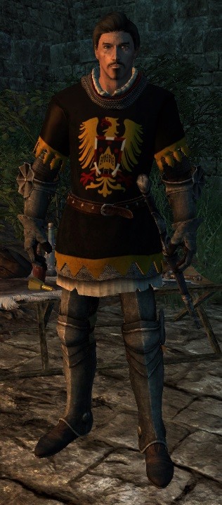 Create meme "Taranor koarek, Nilfgaard the Witcher series, enderal ...